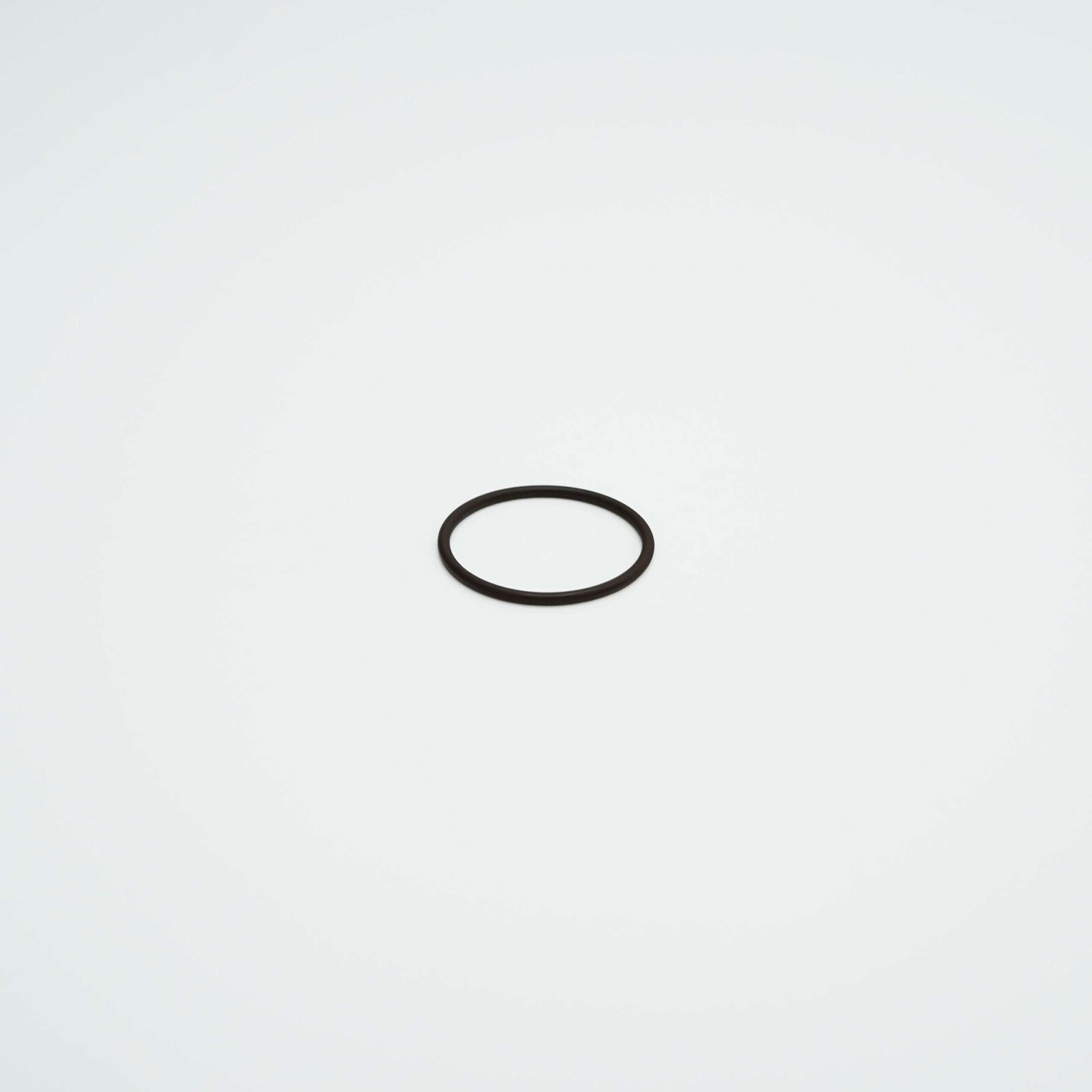 O-RING 024 VIT E60 - Blue-White Industries